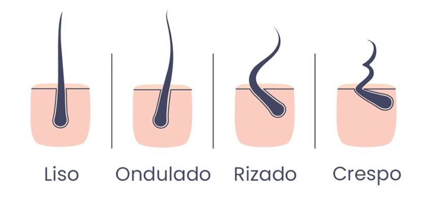 12 Tipos de cabello y cómo cuidarlos correctamente | Tahe